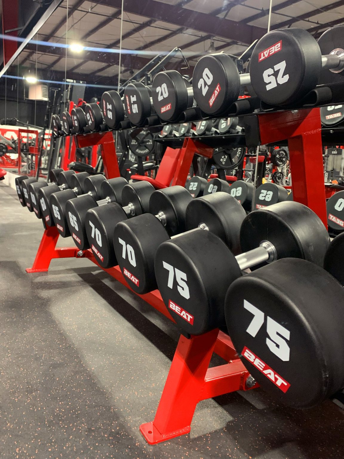 Home - BEAT Fitness